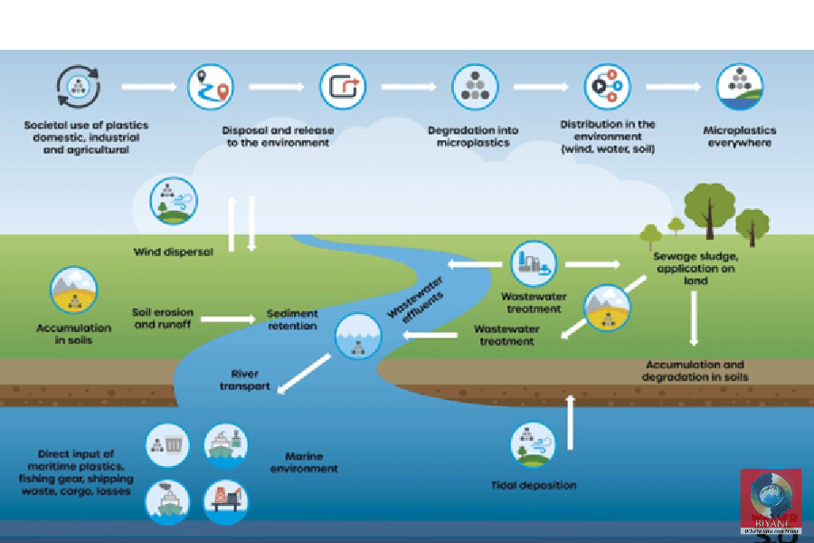 Microplastics in the Environment: A Geographic Perspective - Biyani ...