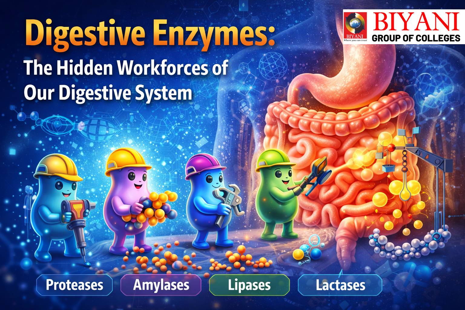 Digestive Enzymes: The Hidden Workforces of Our Digestive System